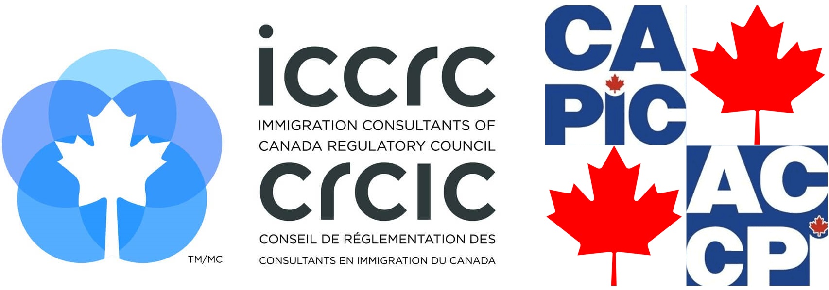 Canadian citizenship applicants with representatives can now apply online